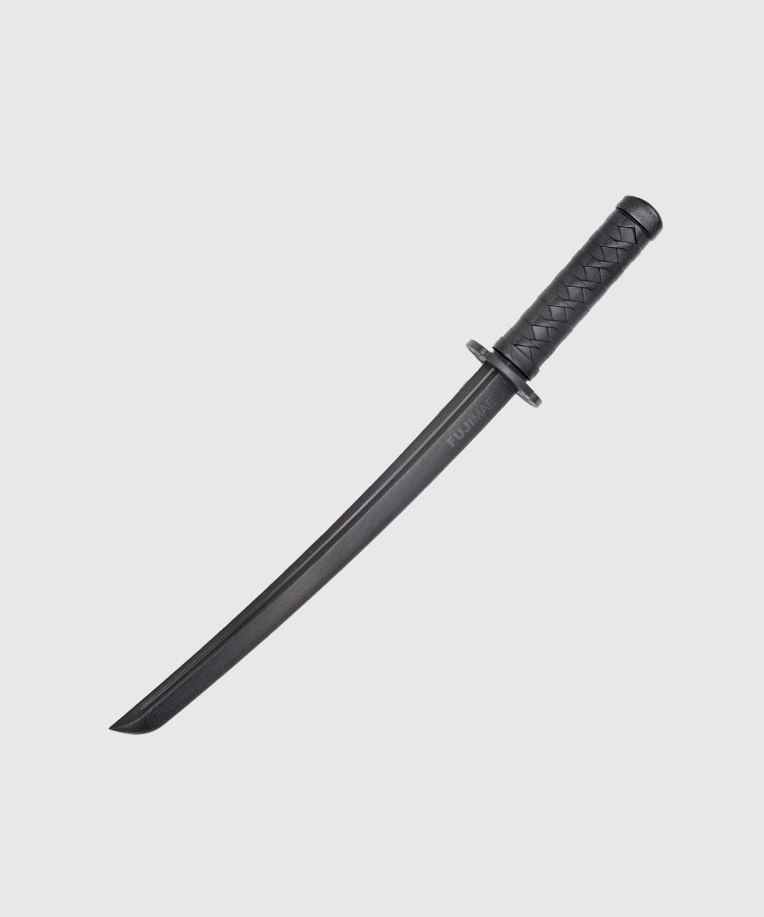 Fujimae Shoto Training – Dragon Bleu