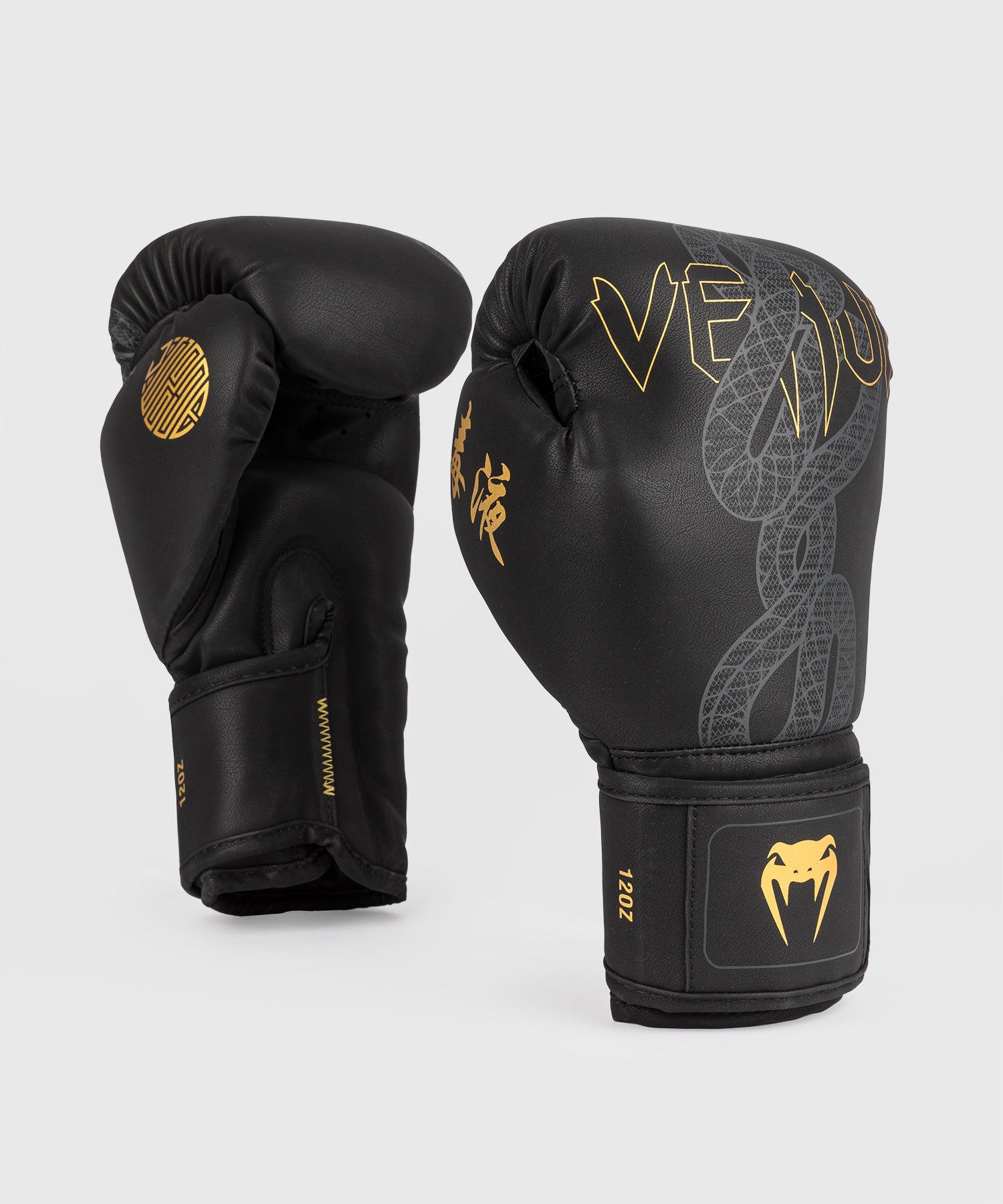 Gants de Boxe Venum Serpenti – Noir/Argent/Or – Dragon Bleu